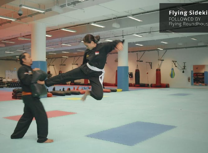 Combat Collection: Silat